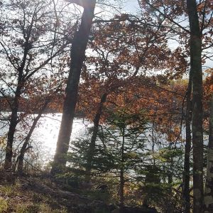Welcome | The Retreat at Lost Land Lake